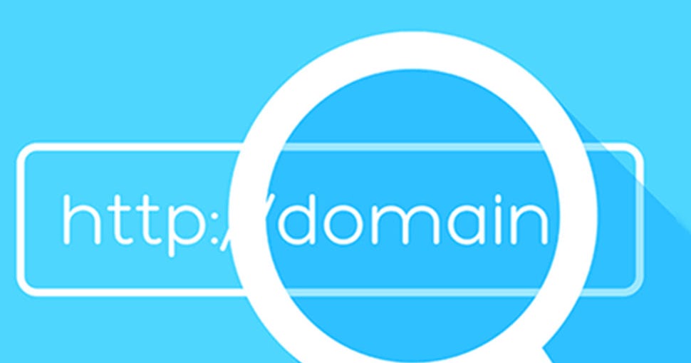Zone domain: what is it and how is a domain zone determined